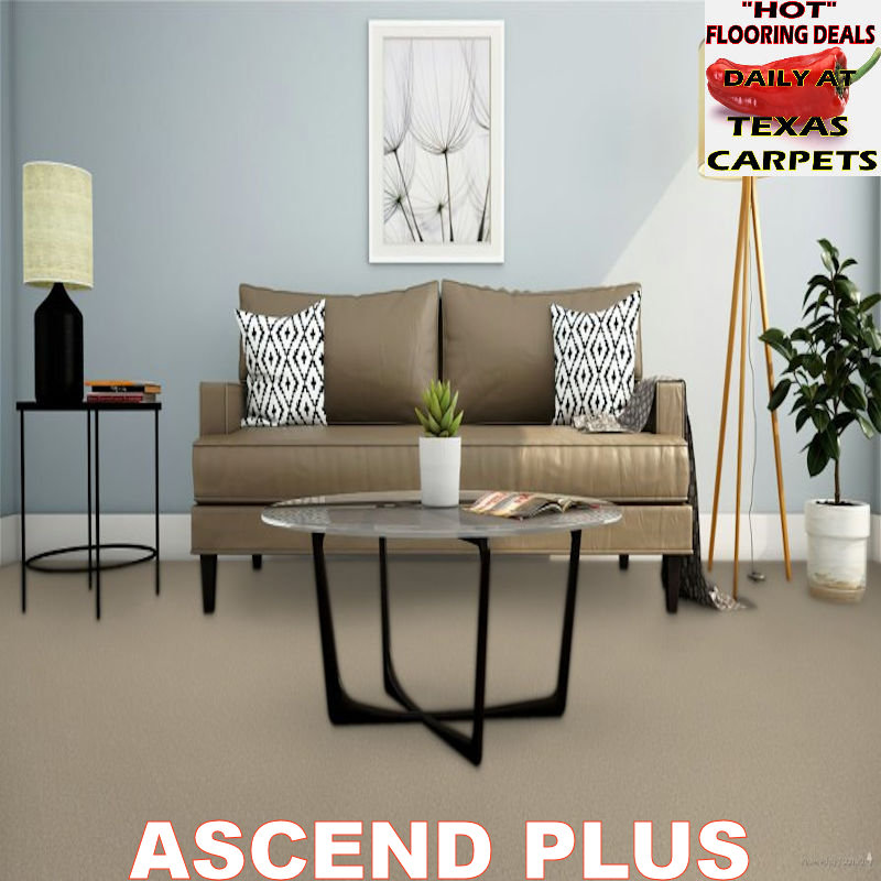 Ascend Plus | Dreamweaver